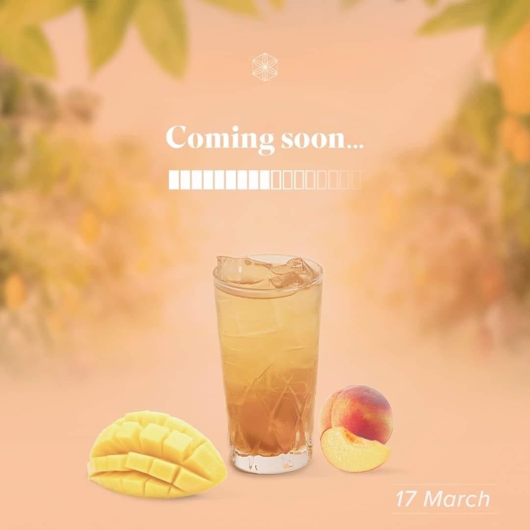 Nieuwe Mango Peach cleanse for life detox drankje - Collageen Expert